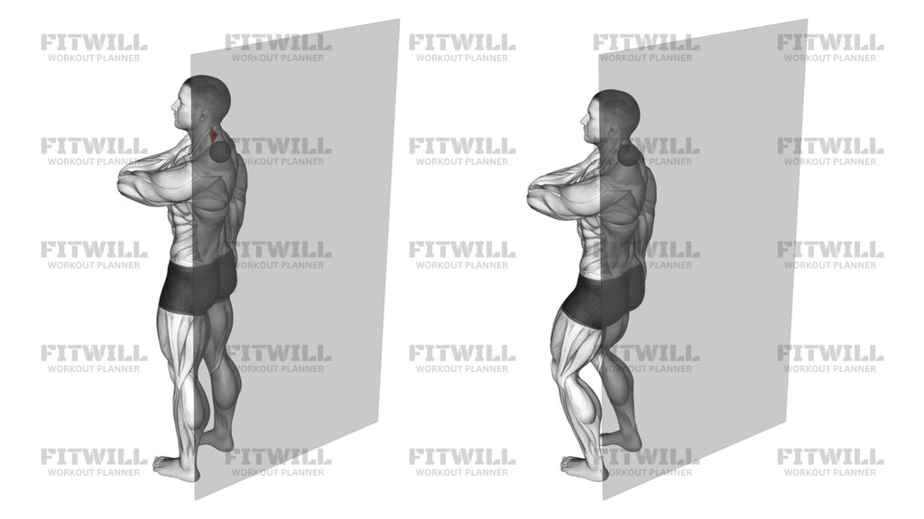 Roll Ball Scapula Levator (VERSION 2): Exercise Guide, Techniques ...