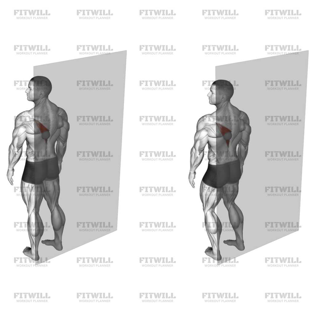 Roll Ball Trapezius Lower: Exercise Guide, Techniques, Benefits, How to ...