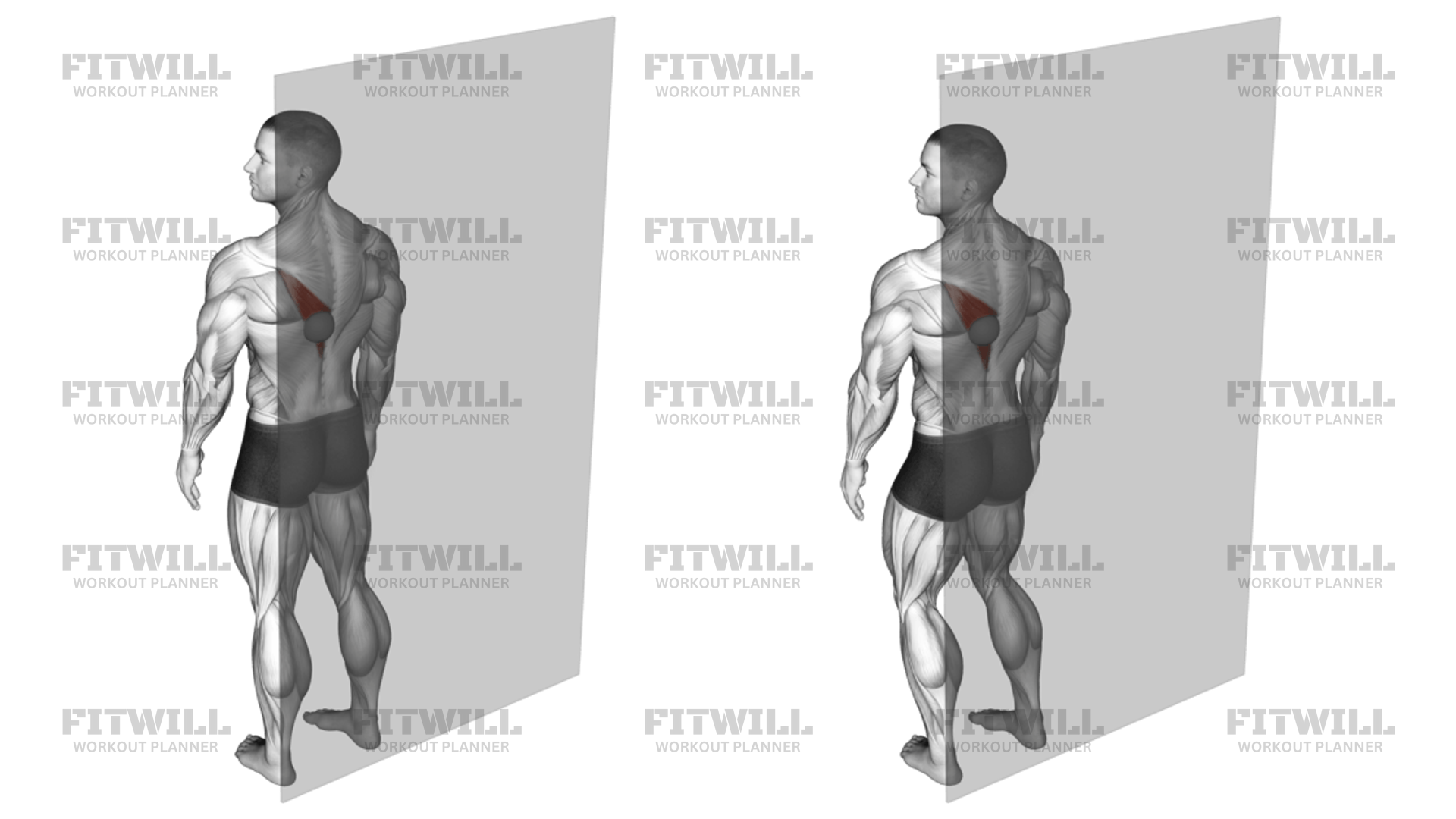 Roll Ball Trapezius Lower: Exercise Guide, Techniques, Benefits, How to ...