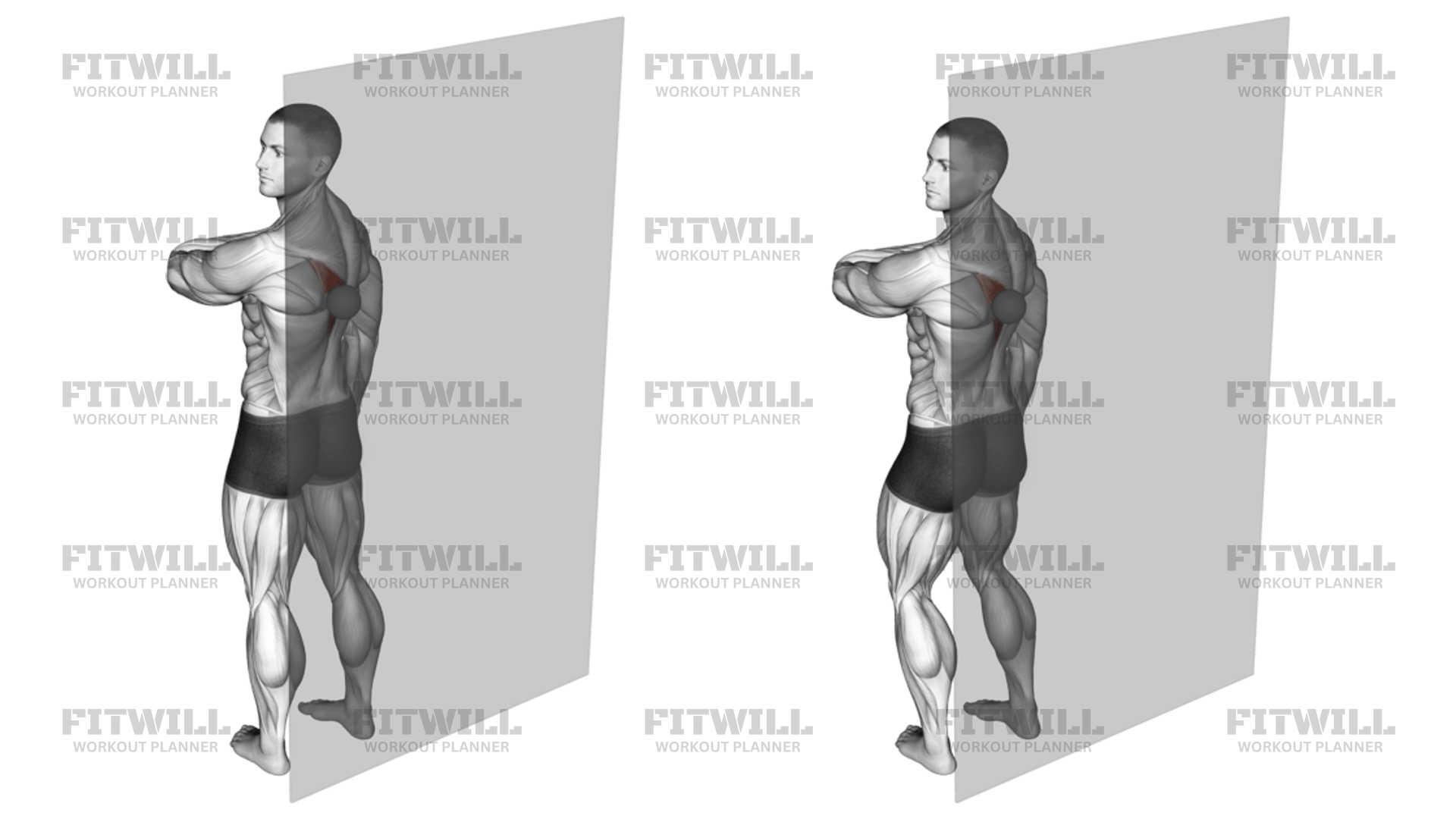 Roll Ball Trapezius Lower Version 2: Exercise Guide, Techniques ...