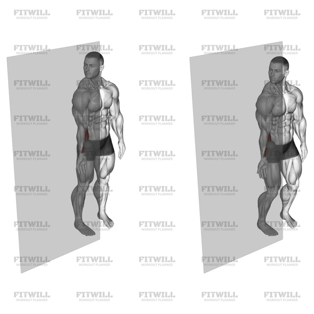 Roll Ball Forearm Flexors: Guide, Techniques, Benefits, How to, Muscles ...