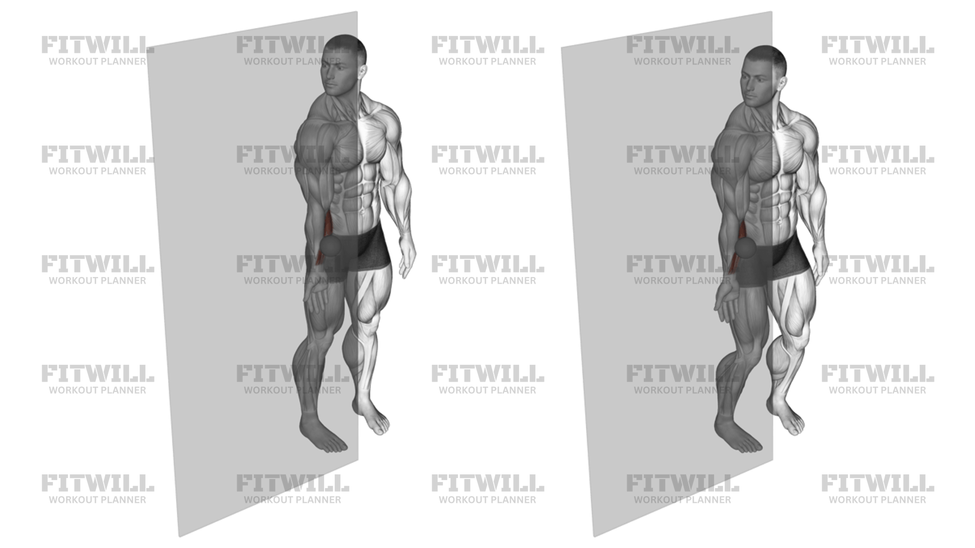 Roll Ball Forearm Flexors: Exercise Guide, Techniques, Benefits, How to ...