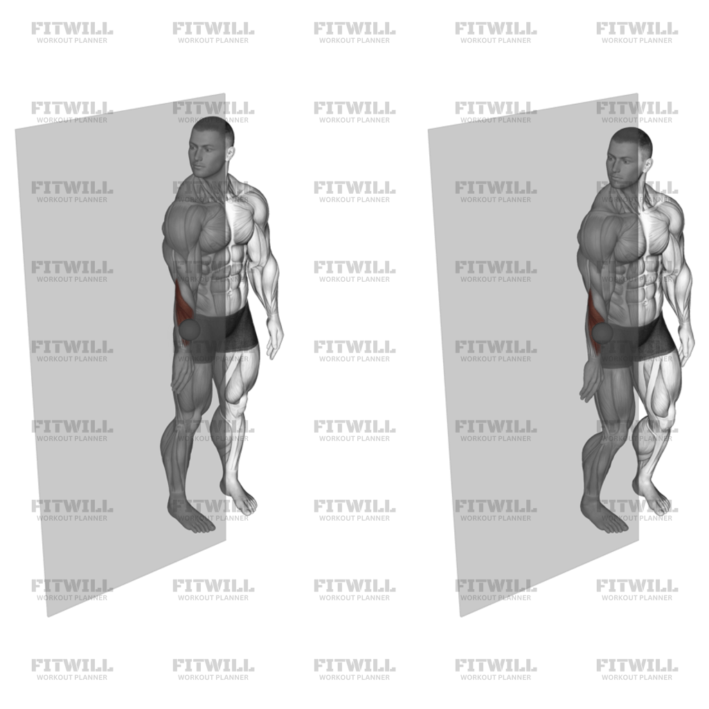 Roll Ball Forearm Extensors: Exercise Guide, Techniques, Benefits, How ...