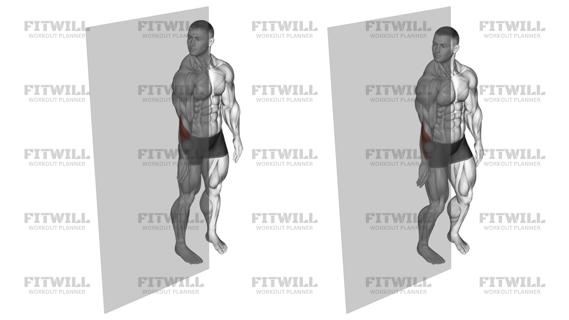 Roll Ball Forearm Extensors: Exercise Guide, Techniques, Benefits, How ...