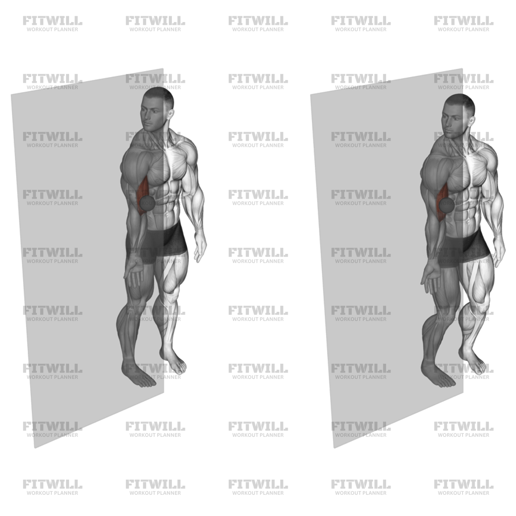 Roll Ball Bicep Brachii: Exercise Guide, Techniques, Benefits, How to ...