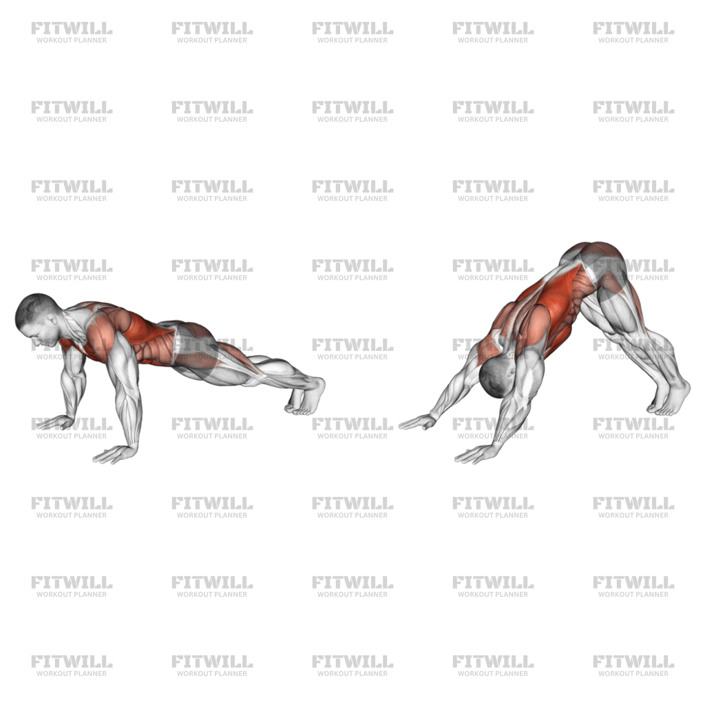 Bodyweight Front Plank To Downward Dog: Exercise Guide, Video ...