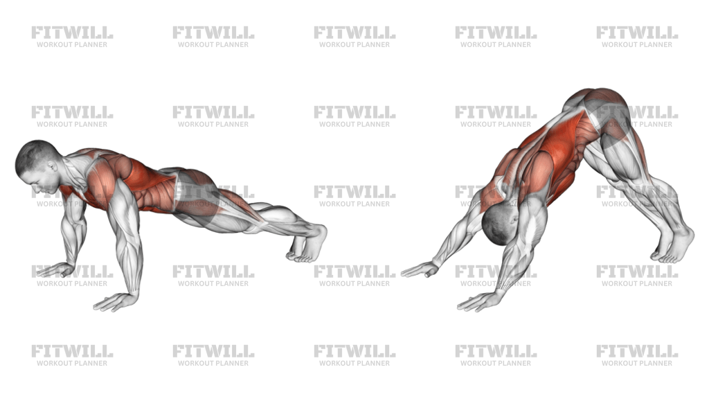 Bodyweight Front Plank To Downward Dog: Exercise Guide, Video ...