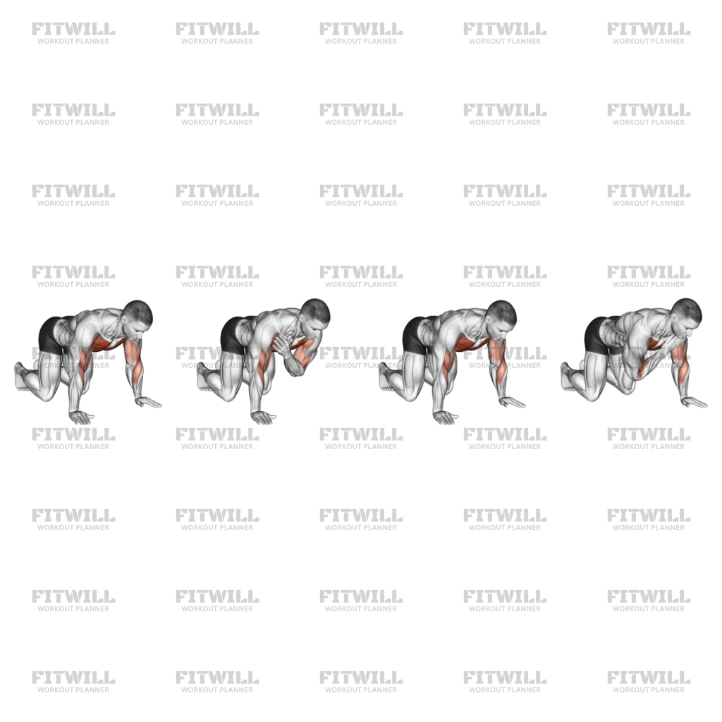 Kneeling Shoulder Tap: Exercise Guide, Video, Techniques, Benefits, How ...