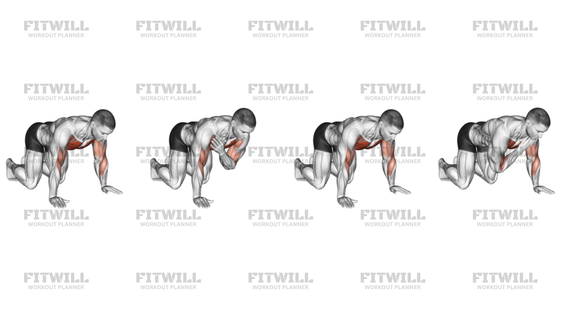 Kneeling Shoulder Tap: Exercise Video | Fitwill