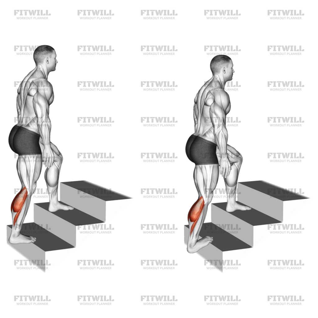Calves Stretch: Exercise Guide, Video, Techniques, Benefits, How to ...