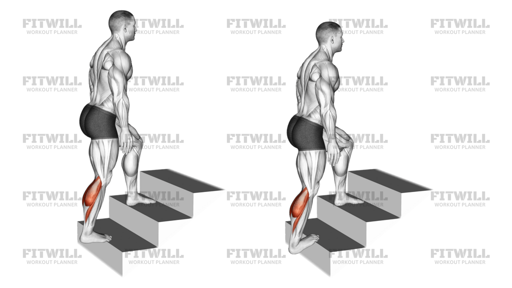 Calves Stretch: Exercise Guide, Video, Techniques, Benefits, How to ...