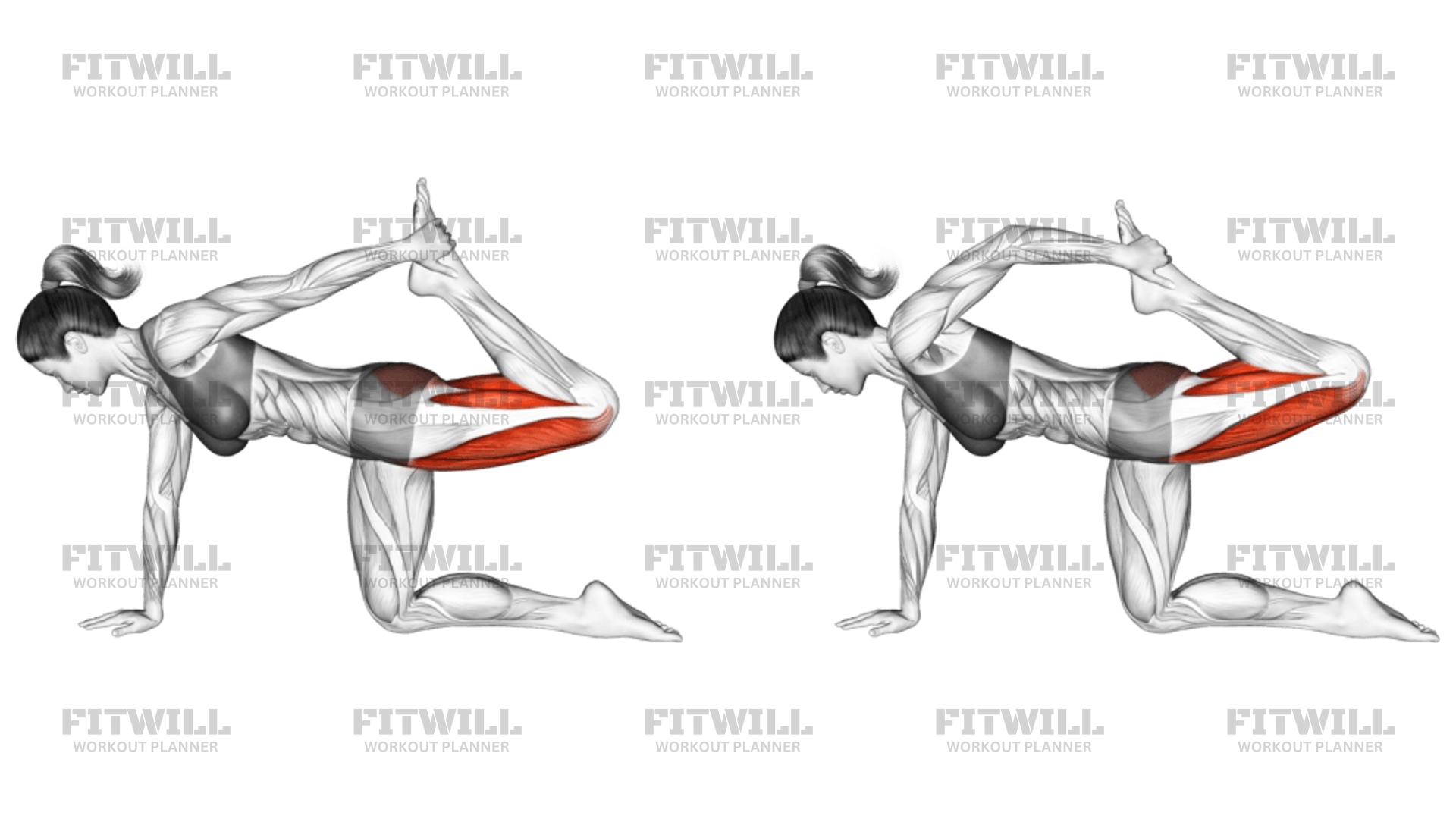 All Fours Squad Stretch: Exercise Guide, Video, Techniques, Benefits ...