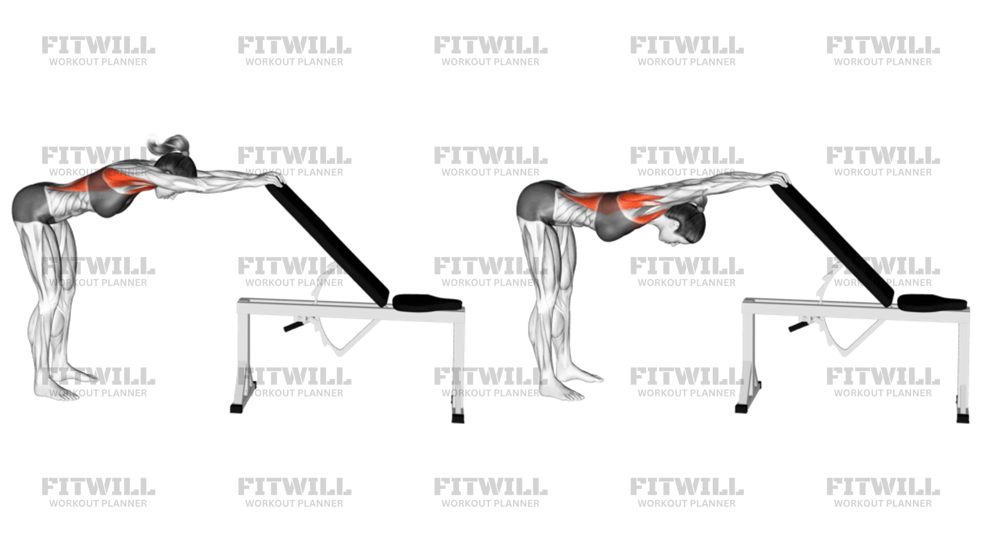 Back Pec Stretch: Exercise Guide, Video, Techniques, Benefits, How to ...