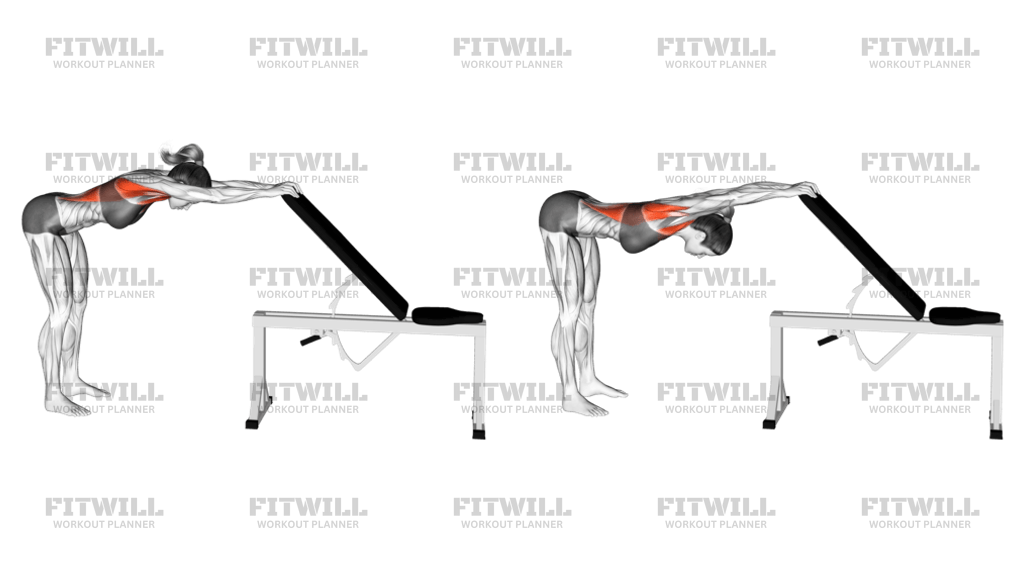 Back Pec Stretch: Exercise Guide, Video, Techniques, Benefits, How to, Muscles Worked, Tips ...