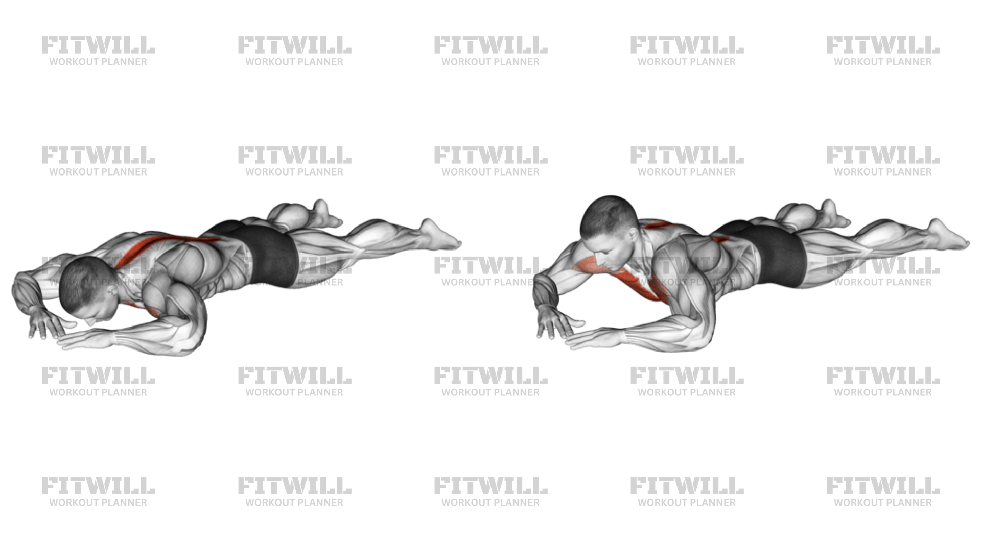 Bodyweight Lying On Stomach Diamond Press: Exercise Video | Fitwill