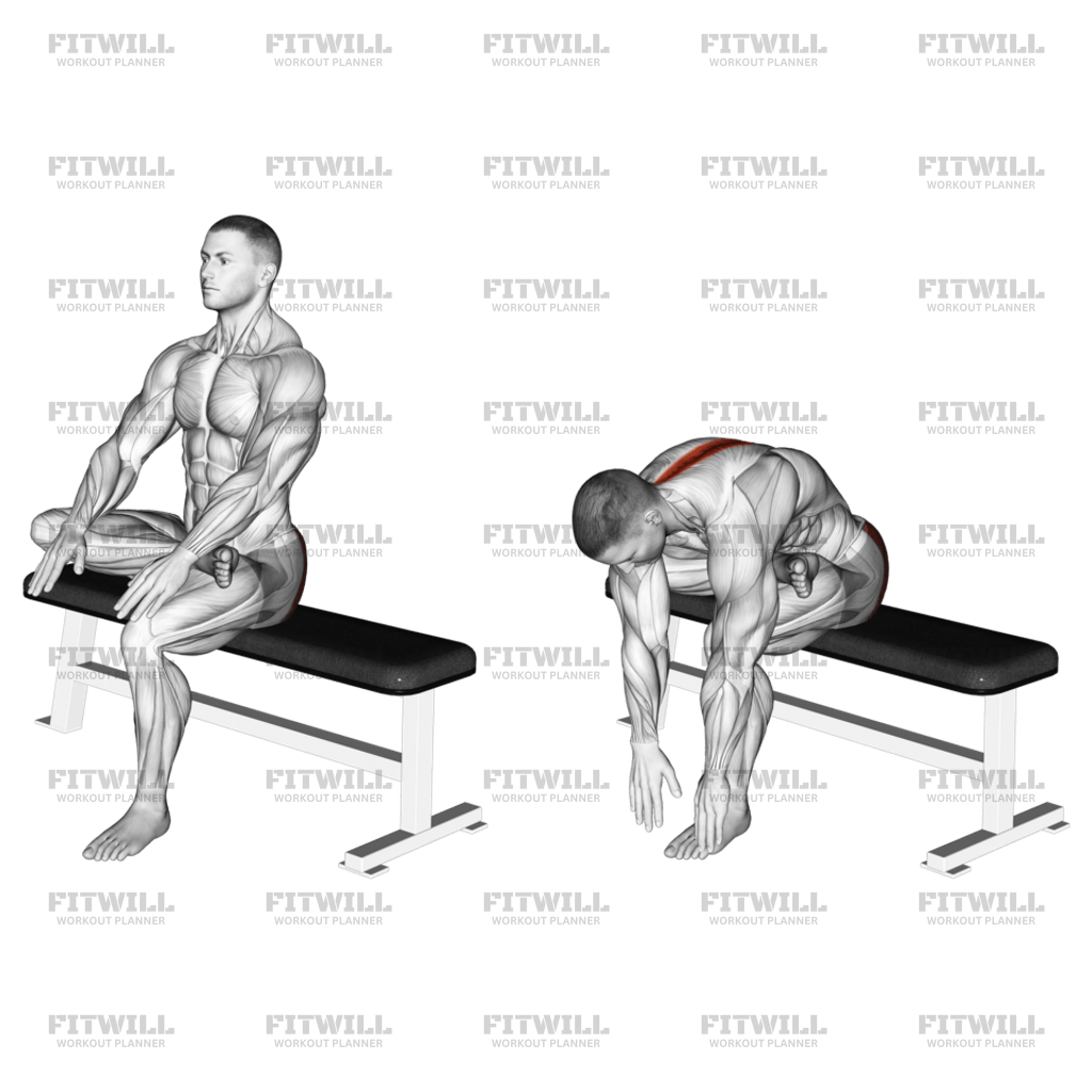 Alongamento Sentado Dos Glúteos (VERSÃO 2): Guia de Exercícios ...