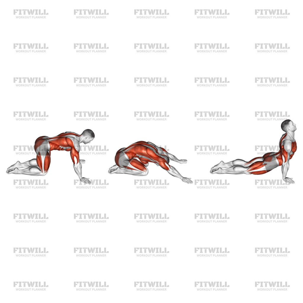 Child To Cobra Pose: Exercise Guide, Techniques, Benefits, How to ...