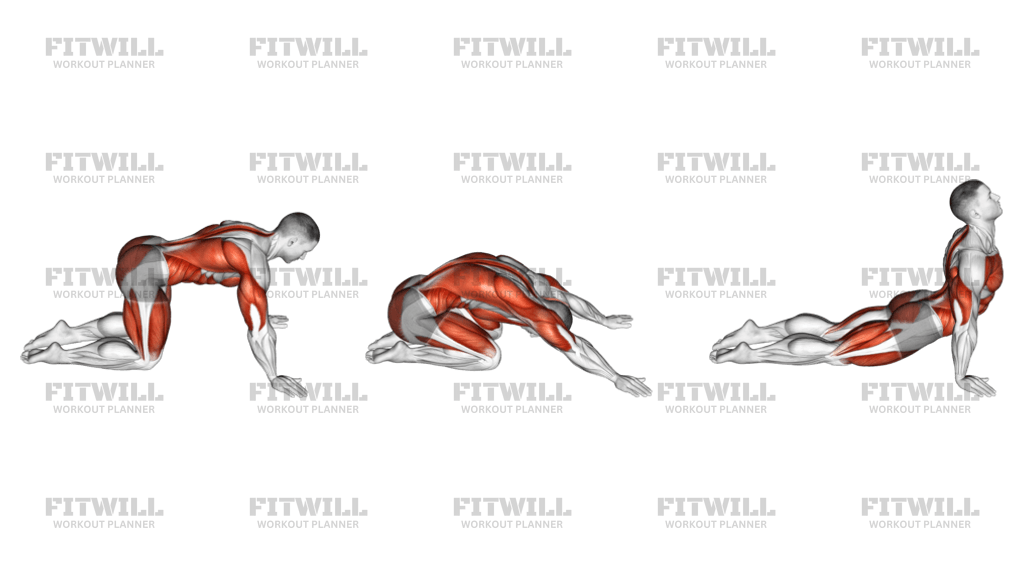 Child To Cobra Pose: Exercise Guide, Techniques, Benefits, How to ...