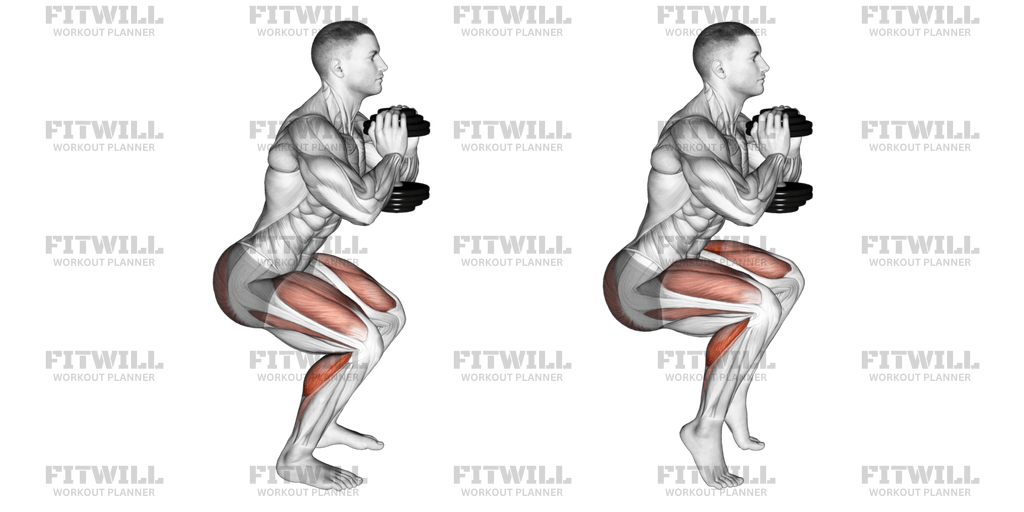 Elevación De Gemelos En Sentadilla Sosteniendo Mancuernas: Guía de ...