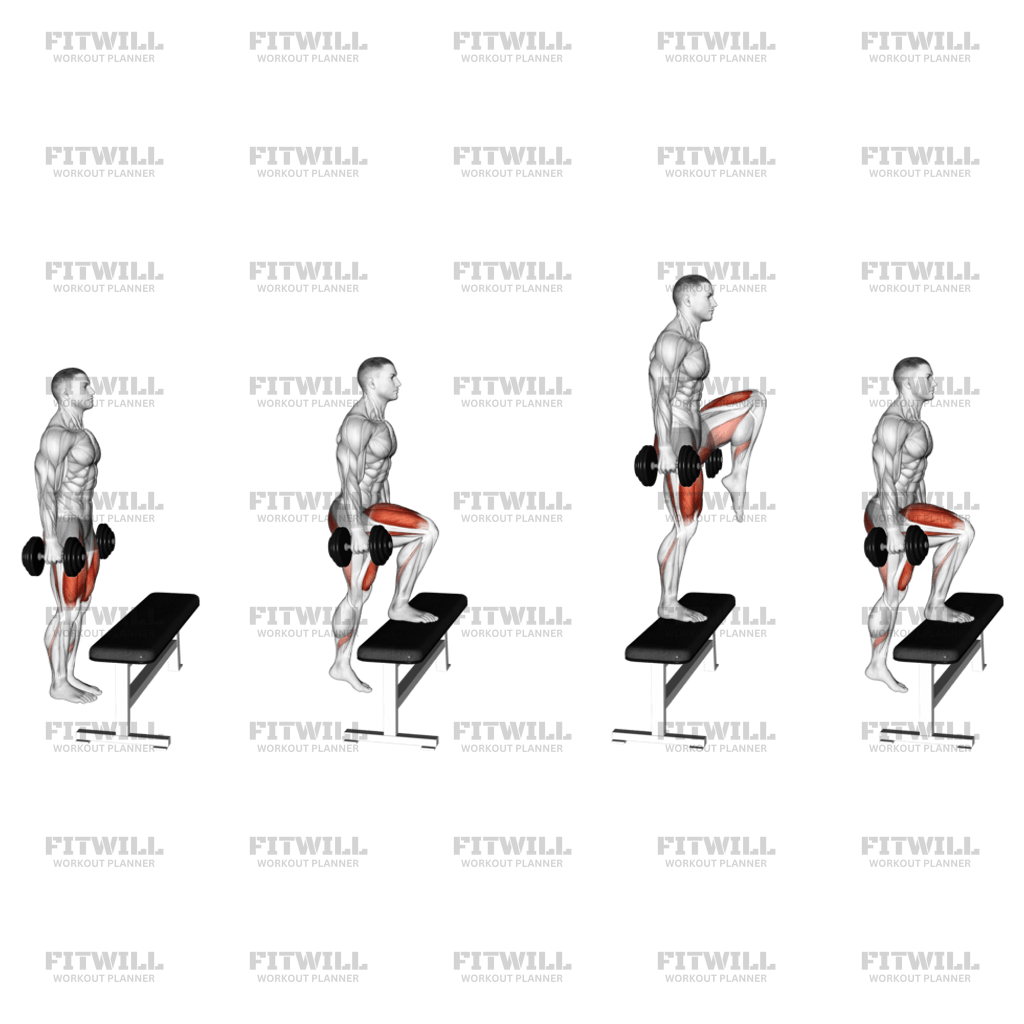Dumbbell Step Up With Knee Raise: Exercise Guide, Video, Techniques ...