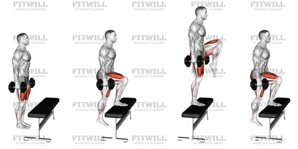 Dumbbell Step Up With Knee Raise: Exercise Guide, Video, Techniques ...