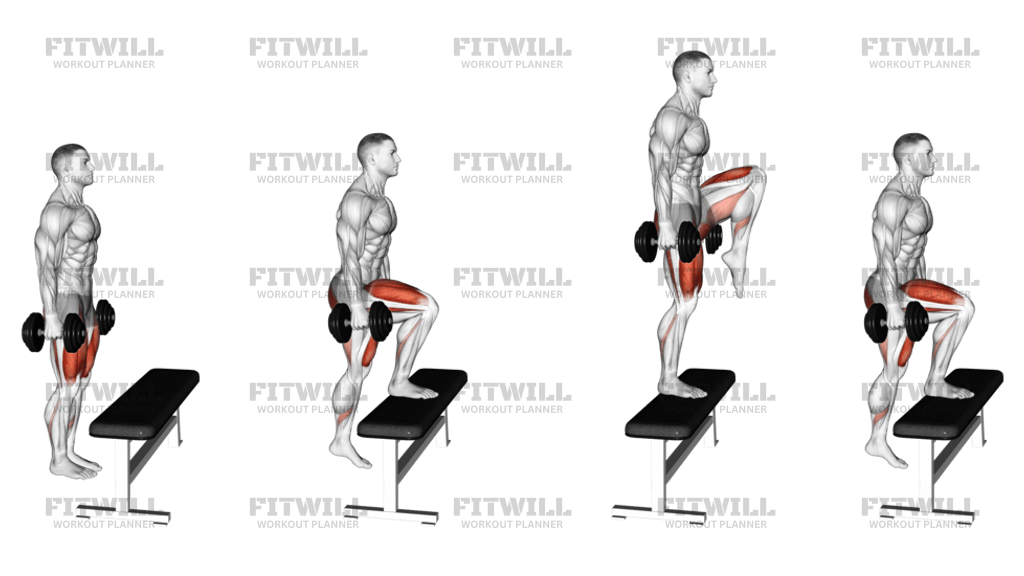 Dumbbell Step Up With Knee Raise: Exercise Guide, Video, Techniques ...