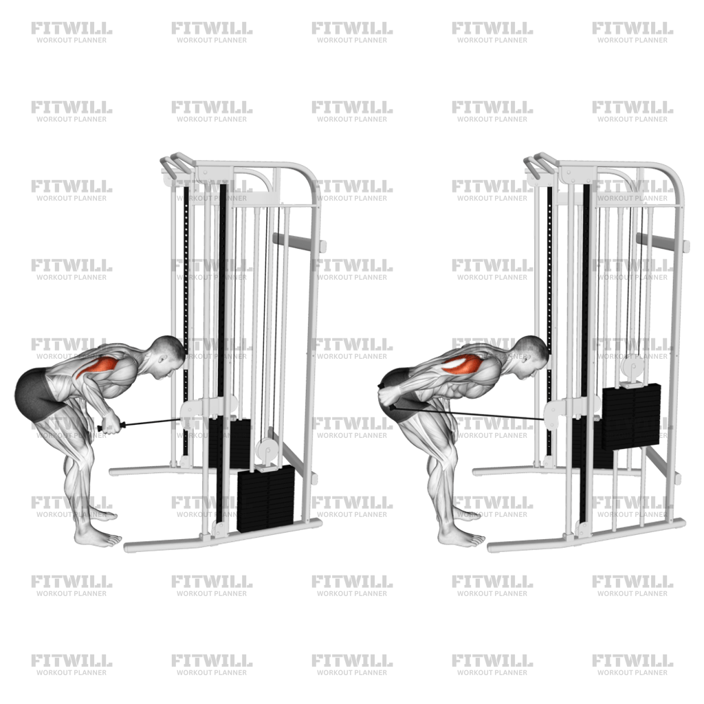 Cable Neutral Grip Kickback: Exercise Guide, Video, Techniques ...