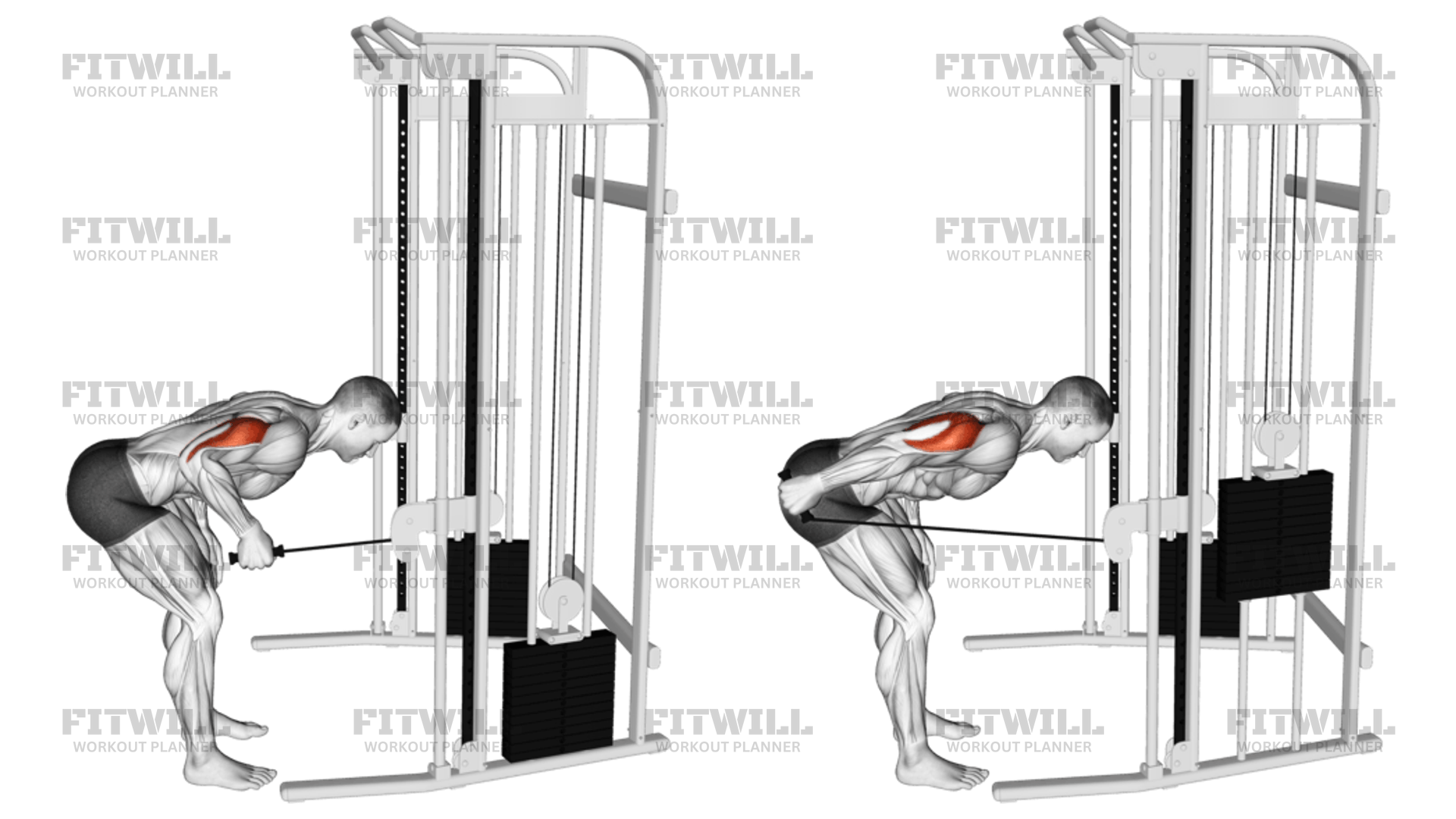Cable Neutral Grip Kickback: Exercise Guide, Video, Techniques ...