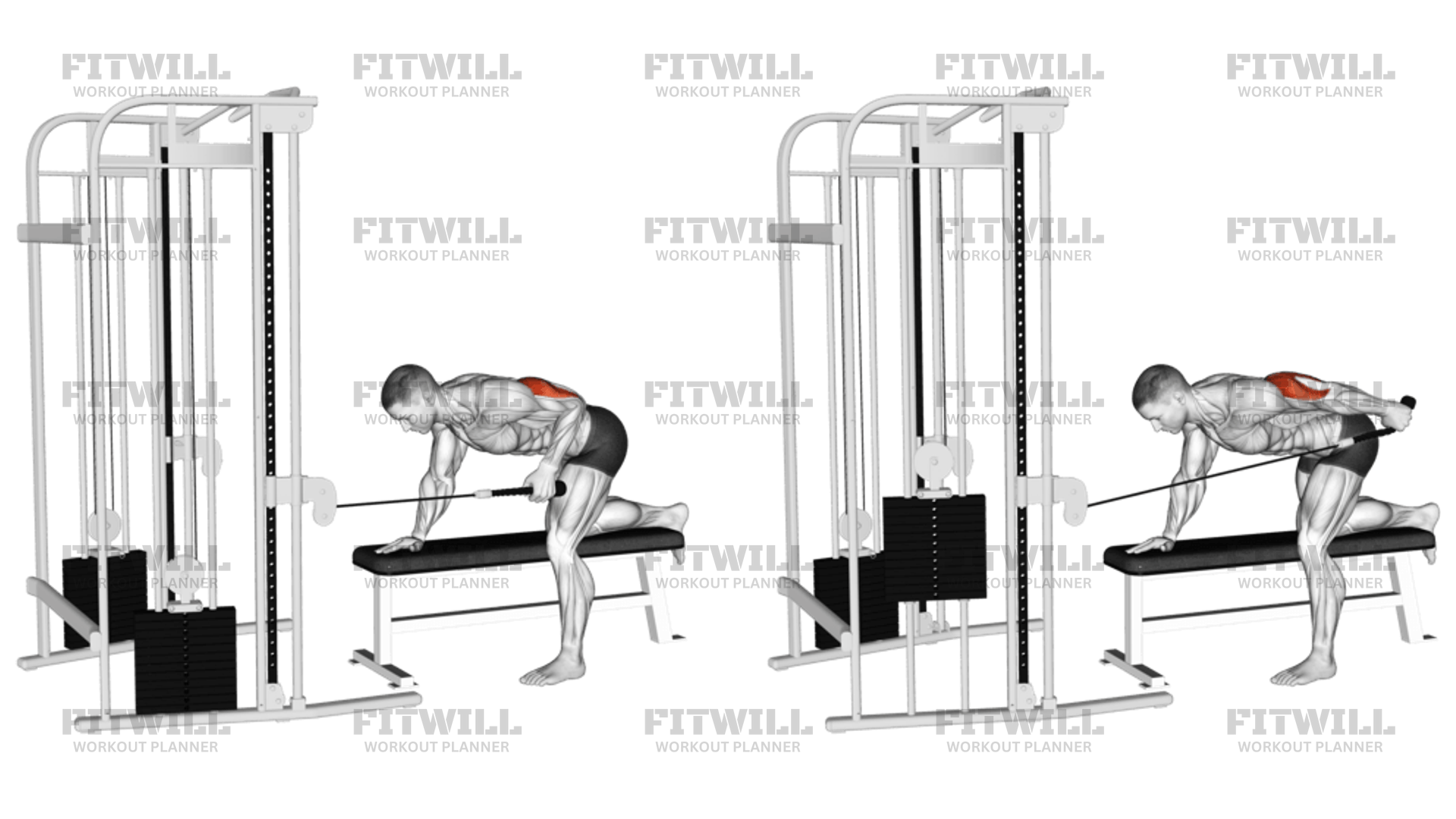 Extensión De Tríceps Con Cuerda En Polea Baja Con Agarre Neutro Y ...