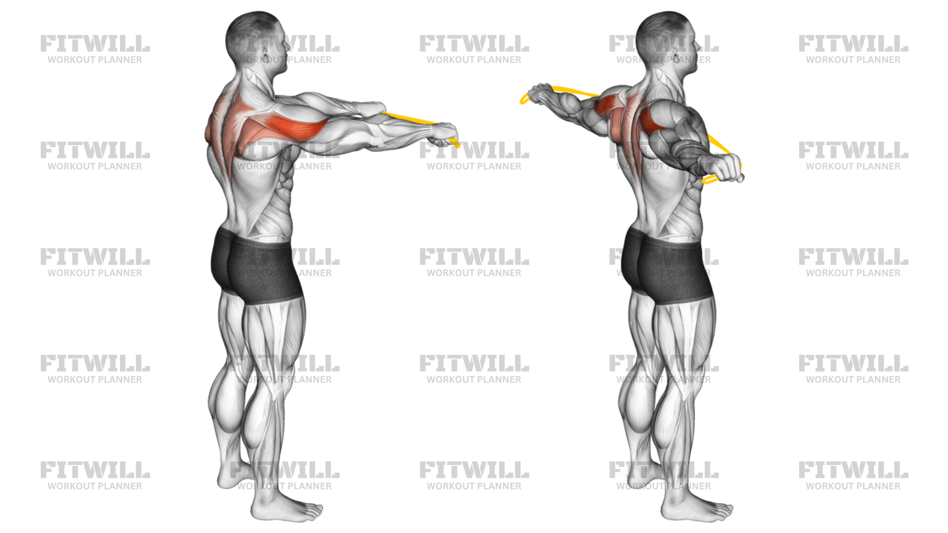 Resistance Band Pull Apart: Exercise Guide, Techniques, Benefits, How ...