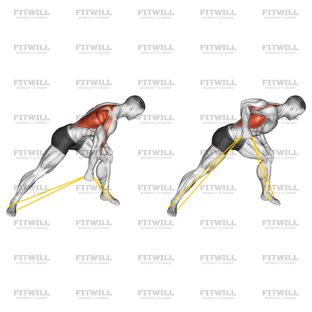 Resistance Band One Arm Bent Over Row: Exercise Guide, Techniques ...