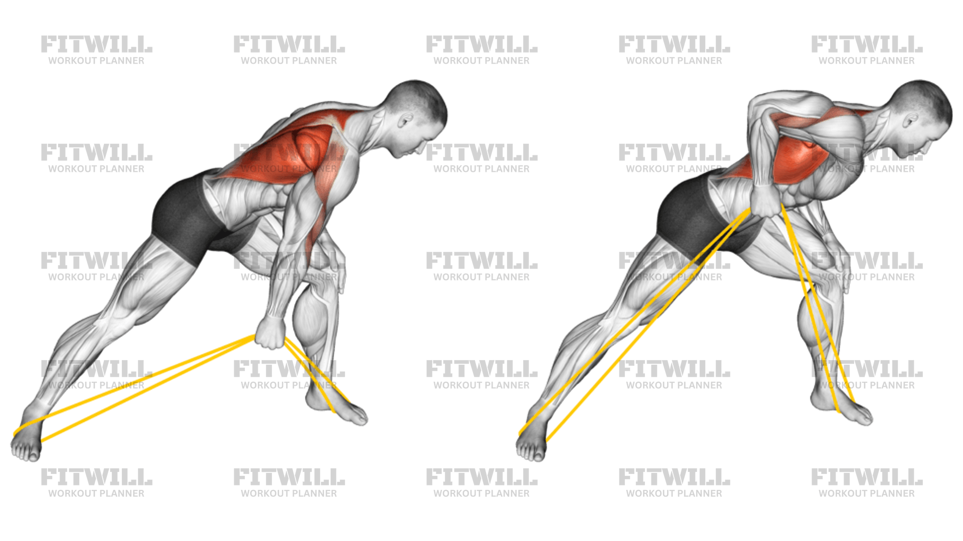Resistance Band One Arm Bent Over Row: Exercise Guide, Techniques ...