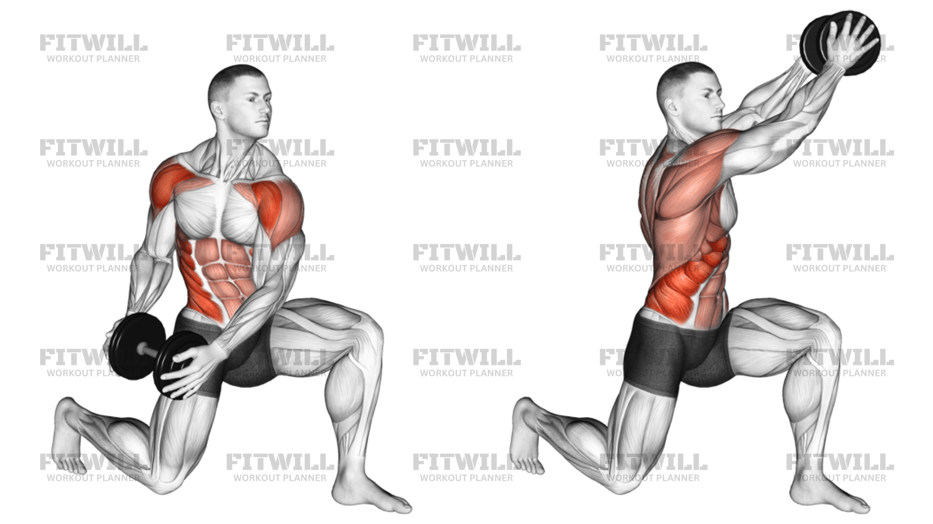 Dumbbell Half Kneeling Lift And Chop: Exercise Guide, Techniques ...