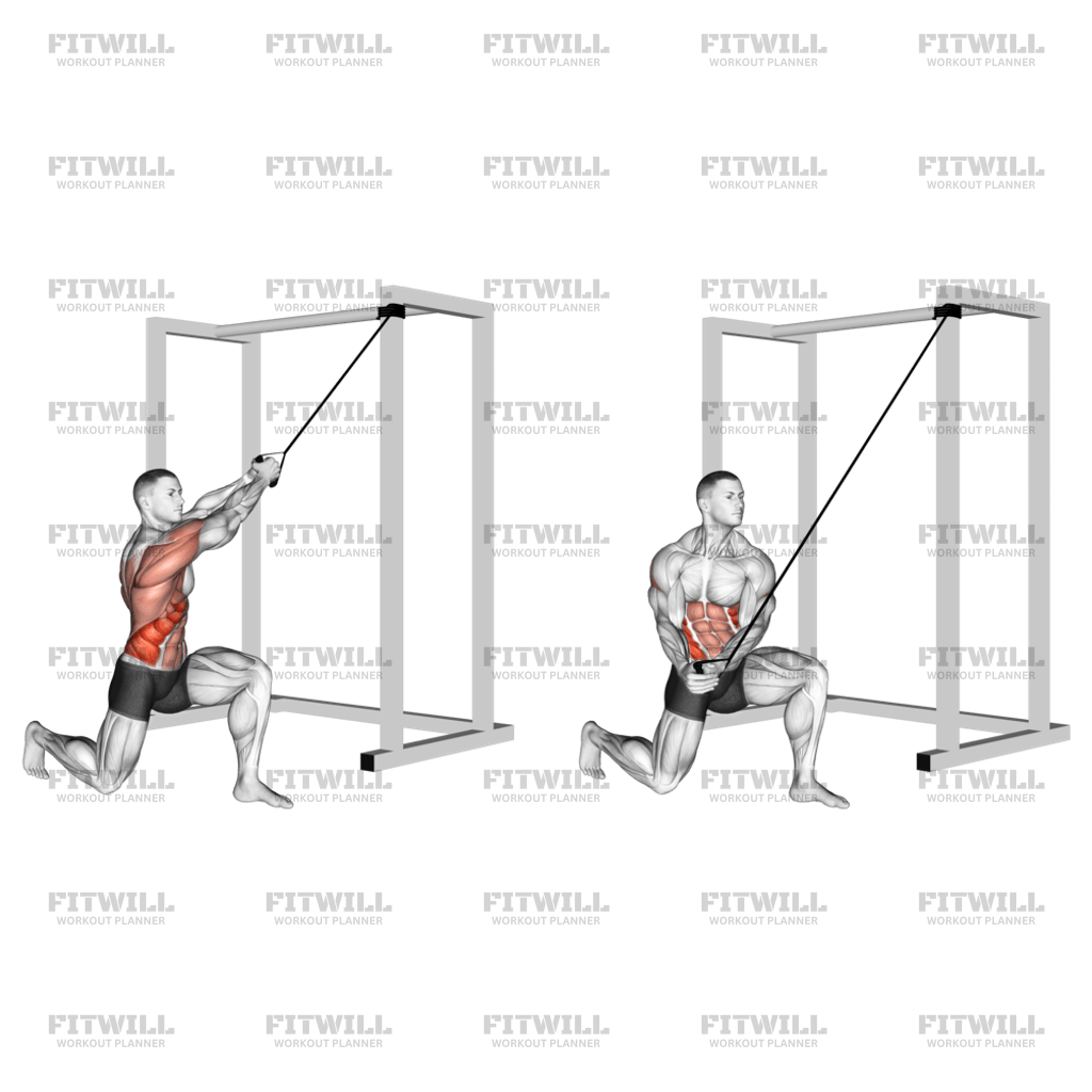 Band Half Kneeling Chop: Exercise Guide, Video, Techniques, Benefits ...