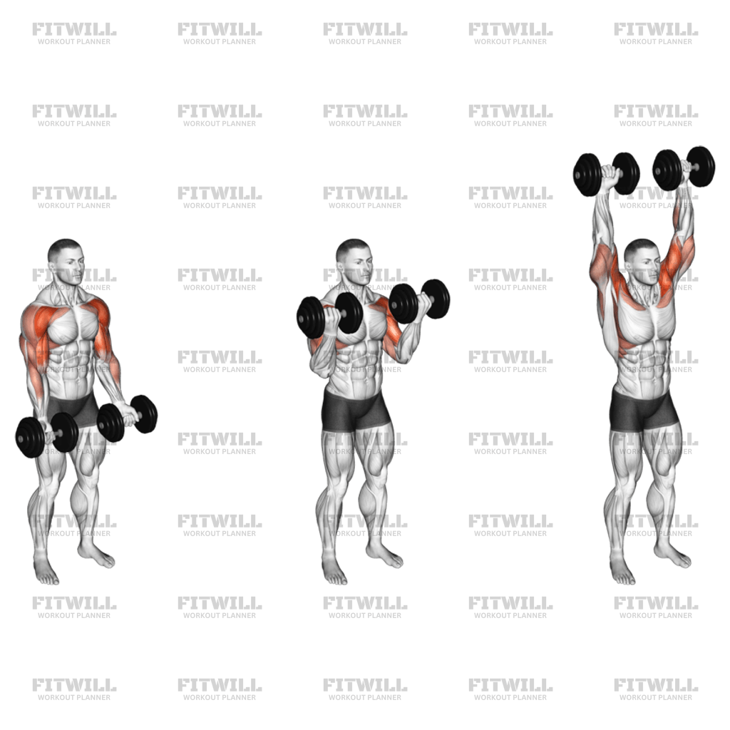 Dumbbell Standing Biceps Curl To Shoulder Press: Exercise Guide ...