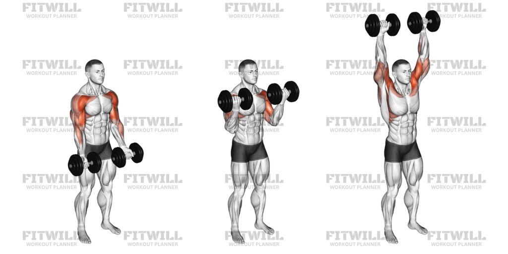 Dumbbell Standing Biceps Curl To Shoulder Press: Exercise Guide, Techniques, Benefits, How to ...