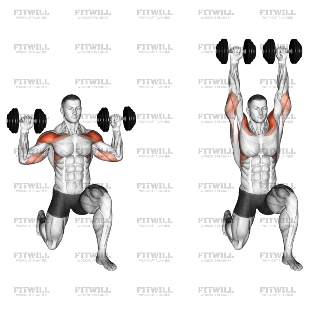 Dumbbell Half Kneeling Military Press: Exercise Guide, Techniques ...
