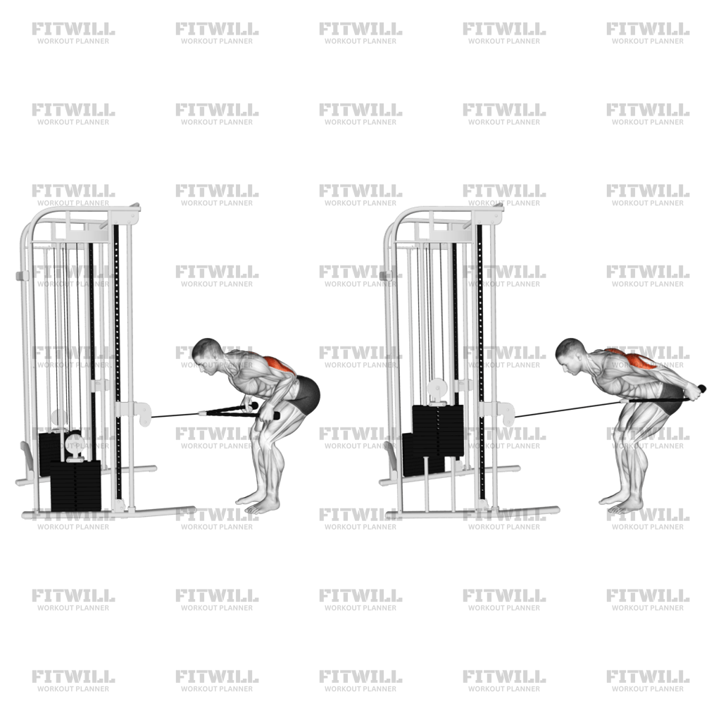 Cable Bent-Over Neutral Grip Kickback With Rope Attachment: Exercise ...