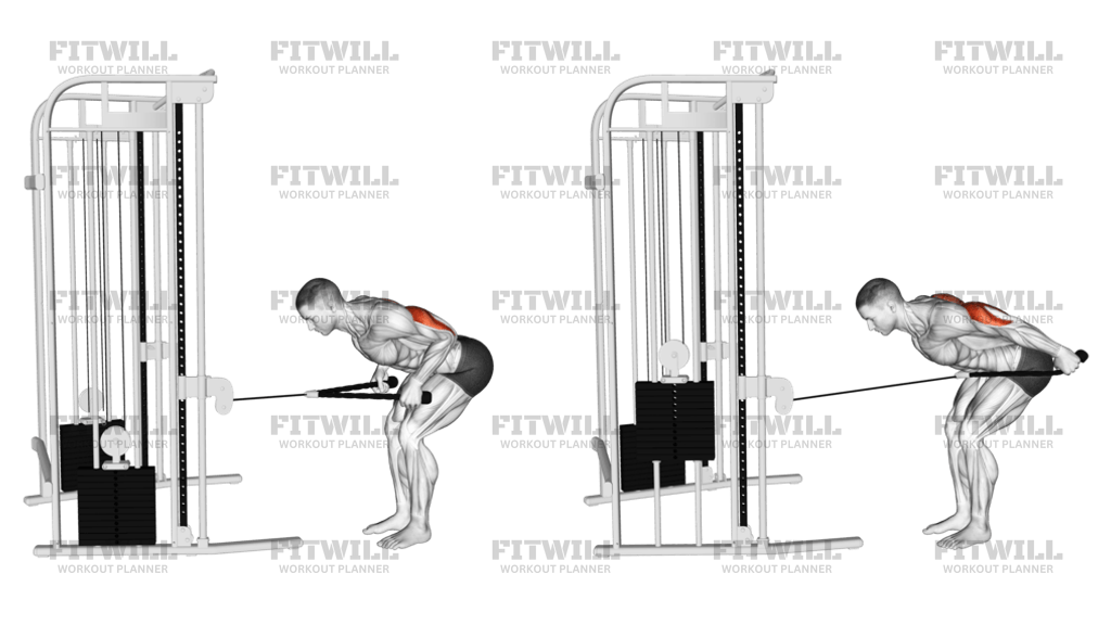 Cable Bent-Over Neutral Grip Kickback With Rope Attachment: Exercise ...