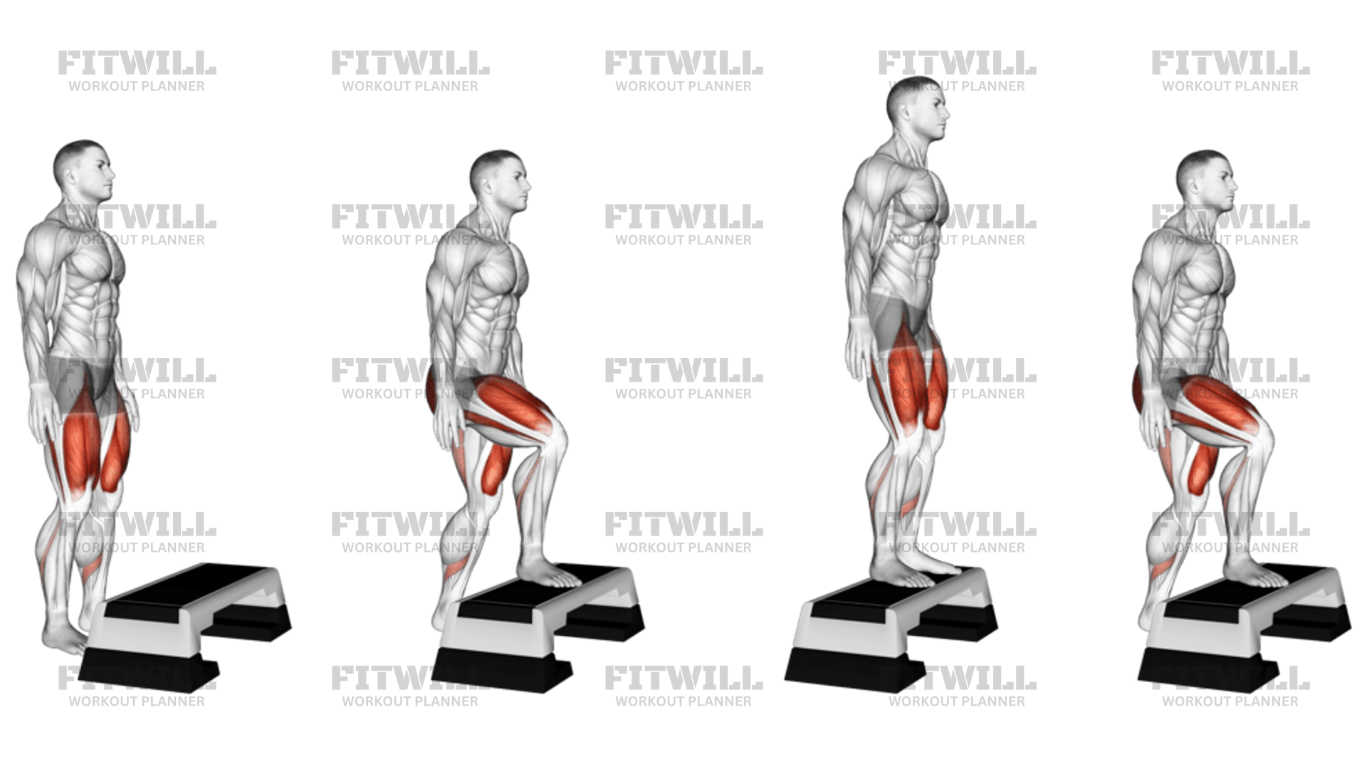 Bodyweight Step Up On Stepbox: Exercise Guide, Video, Techniques ... Bodyweight Step Up On Stepbox: Exercise Guide, Video, Techniques ...