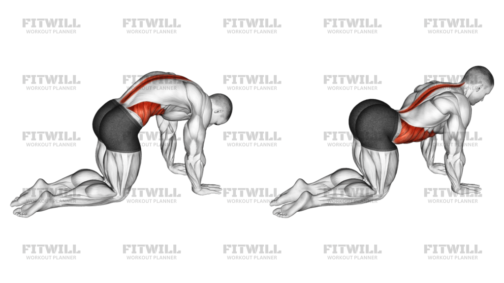 Cat Cow Stretch: Exercise Guide, Video, Techniques, Benefits, How to ...