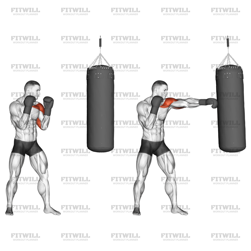 Boxing Jab (with Boxing Bag): Exercise Guide, Techniques, Benefits, How ...