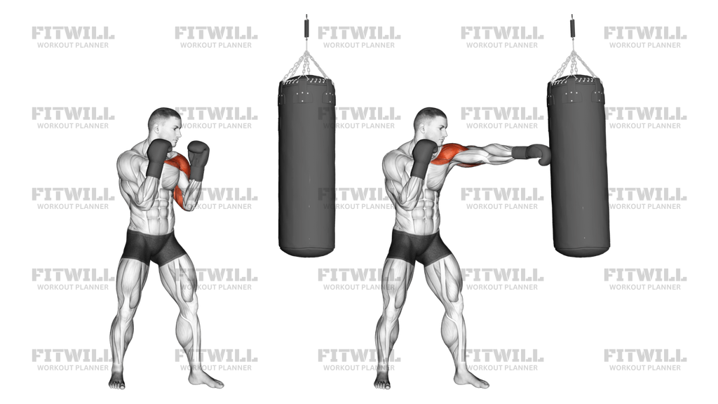 Boxing Jab (with Boxing Bag): Exercise Guide, Techniques, Benefits, How ...
