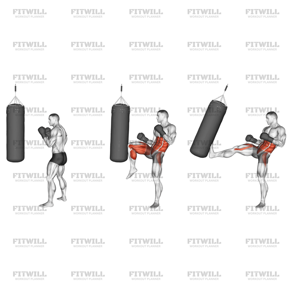 Front Groin Kick Kickboxing (with Boxing Bag): Exercise Guide ...
