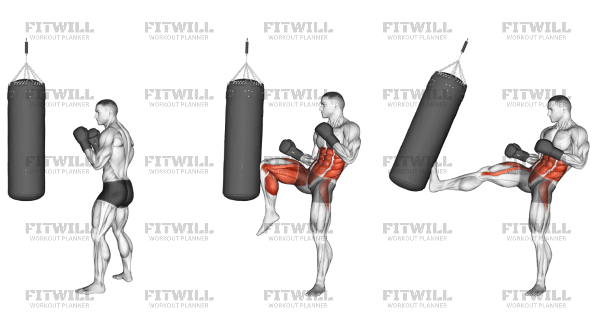 Front Groin Kick Kickboxing (with Boxing Bag): Exercise Guide ...
