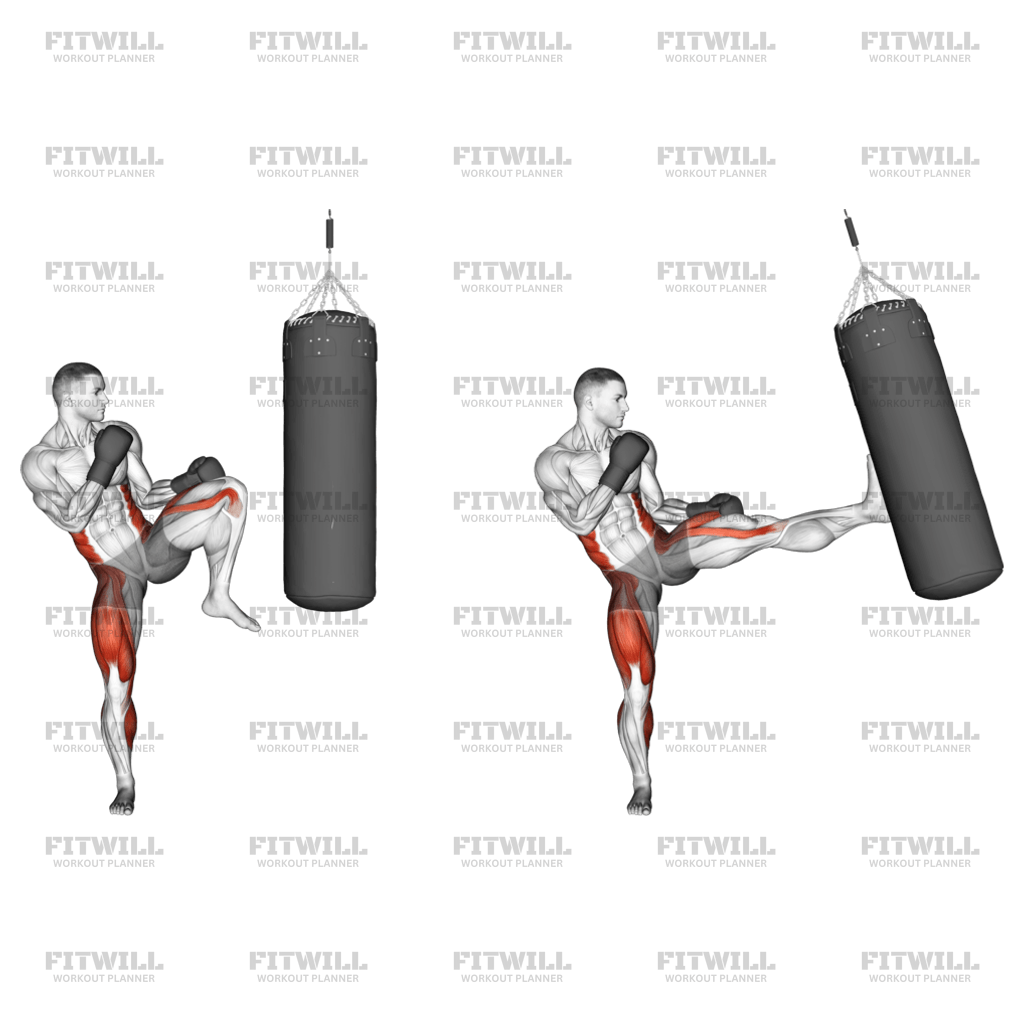Front Kick Kickboxing (with Boxing Bag): Exercise Guide, Techniques ...