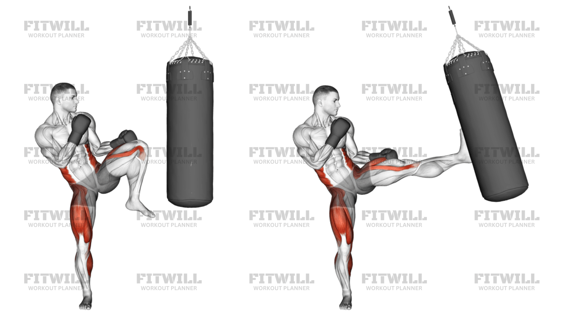 Front Kick Kickboxing (with Boxing Bag): Exercise Guide, Techniques ...