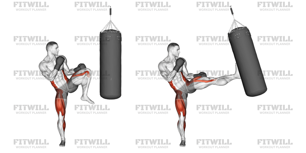 Front Kick Kickboxing (with Boxing Bag): Exercise Guide, Techniques, Benefits, How to, Muscles ...