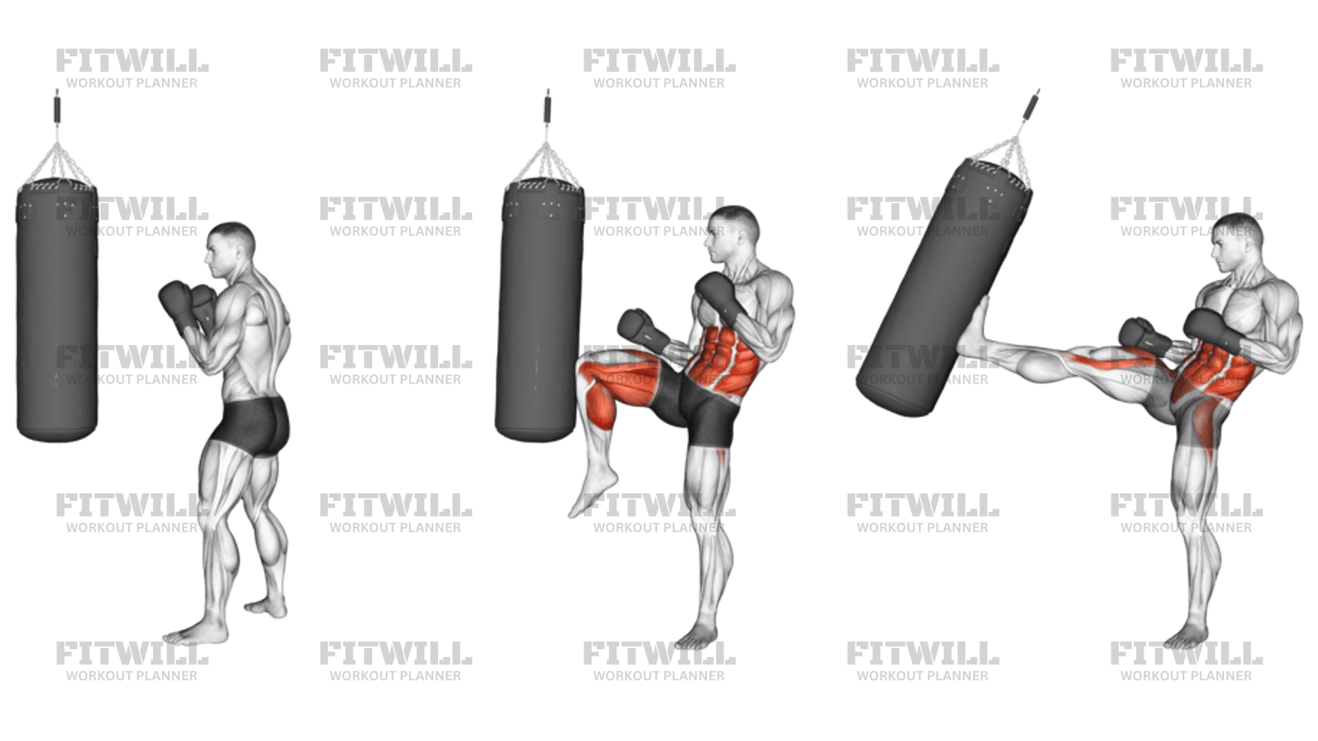 Patada Frontal Rápida De Kickboxing (con Saco De Boxeo): Guía de ...