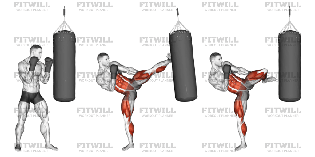 Patada Gancho En Kickboxing (con Saco De Boxeo): Guía de Ejercicios ...